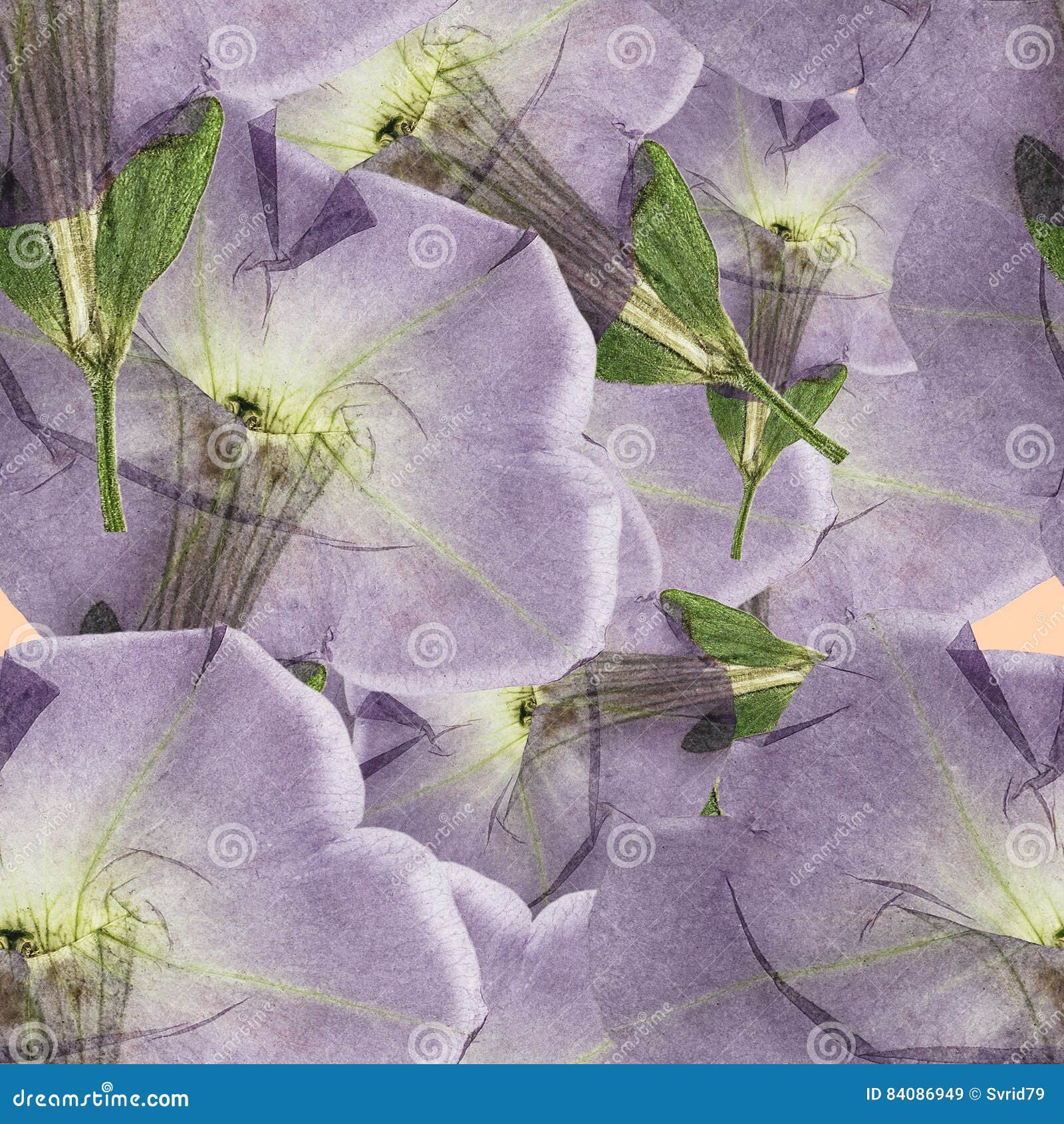 Periwinkle. Seamless Pattern Texture of Pressed Dry Flowers. Stock ...