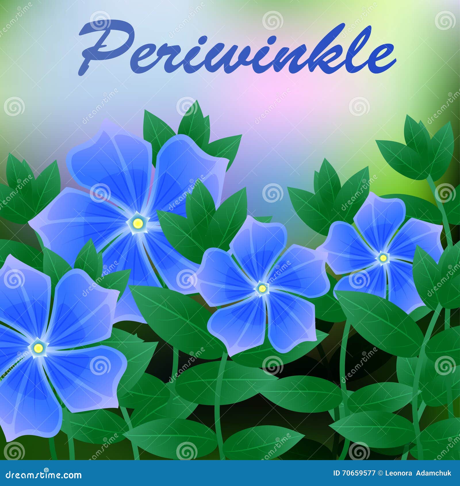 Periwinkle Spring Flower on Blue Background with Place for Text. Vector ...