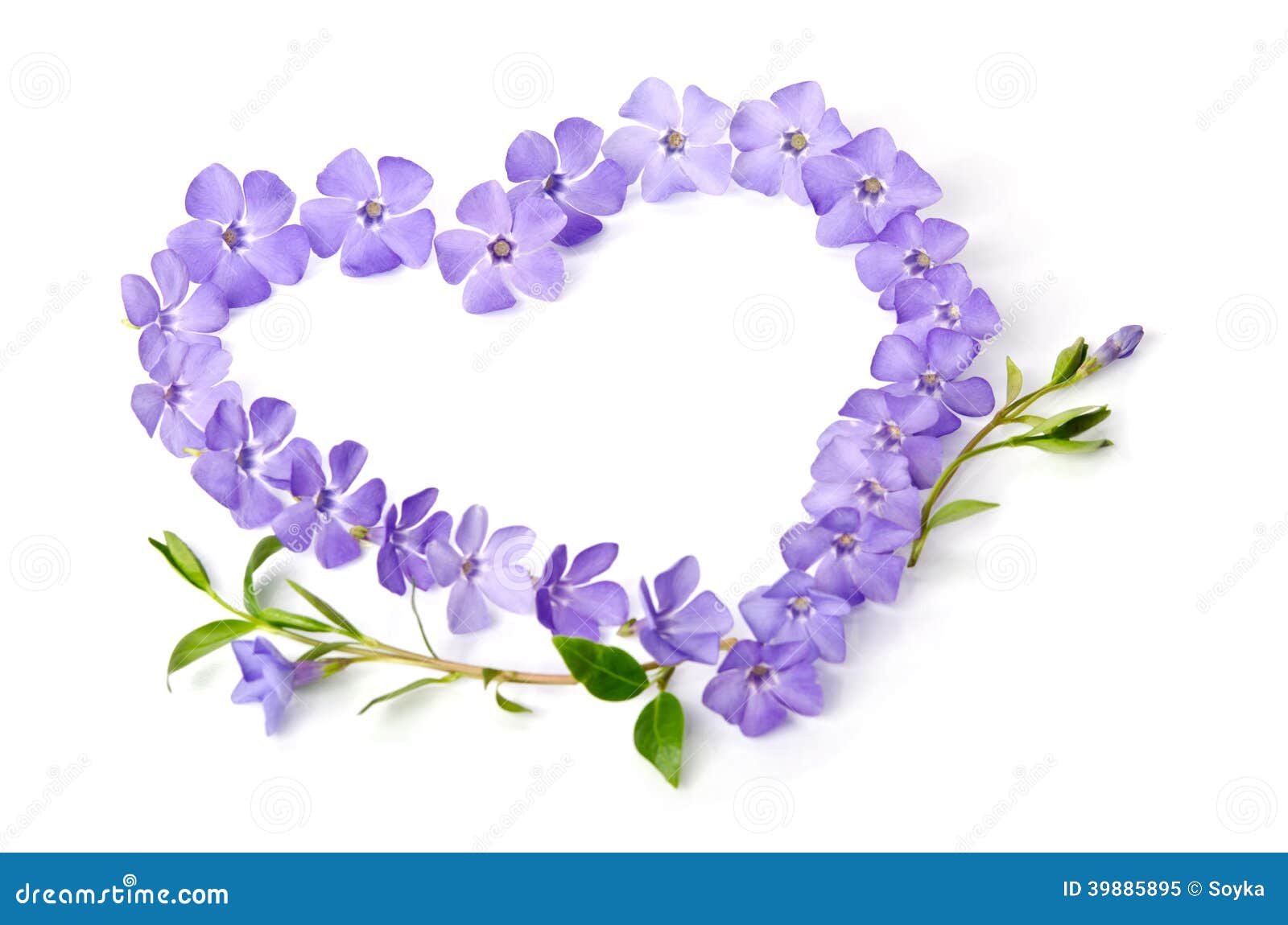 Periwinkles in a Shape of a Heart Stock Image - Image of clipping ...