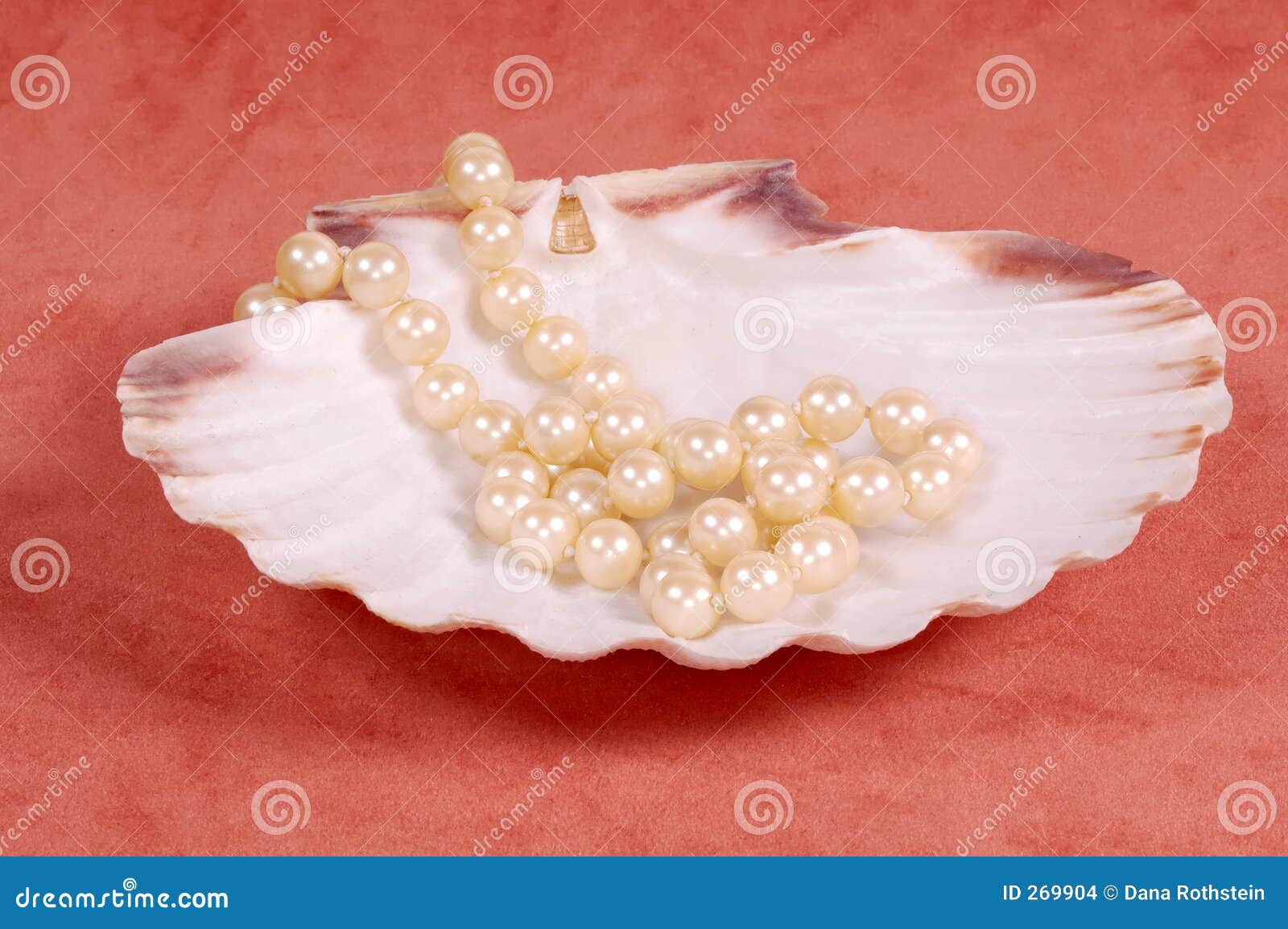 Perlas foto de archivo. Imagen de cubo, gema, estilo, hembra - 269904