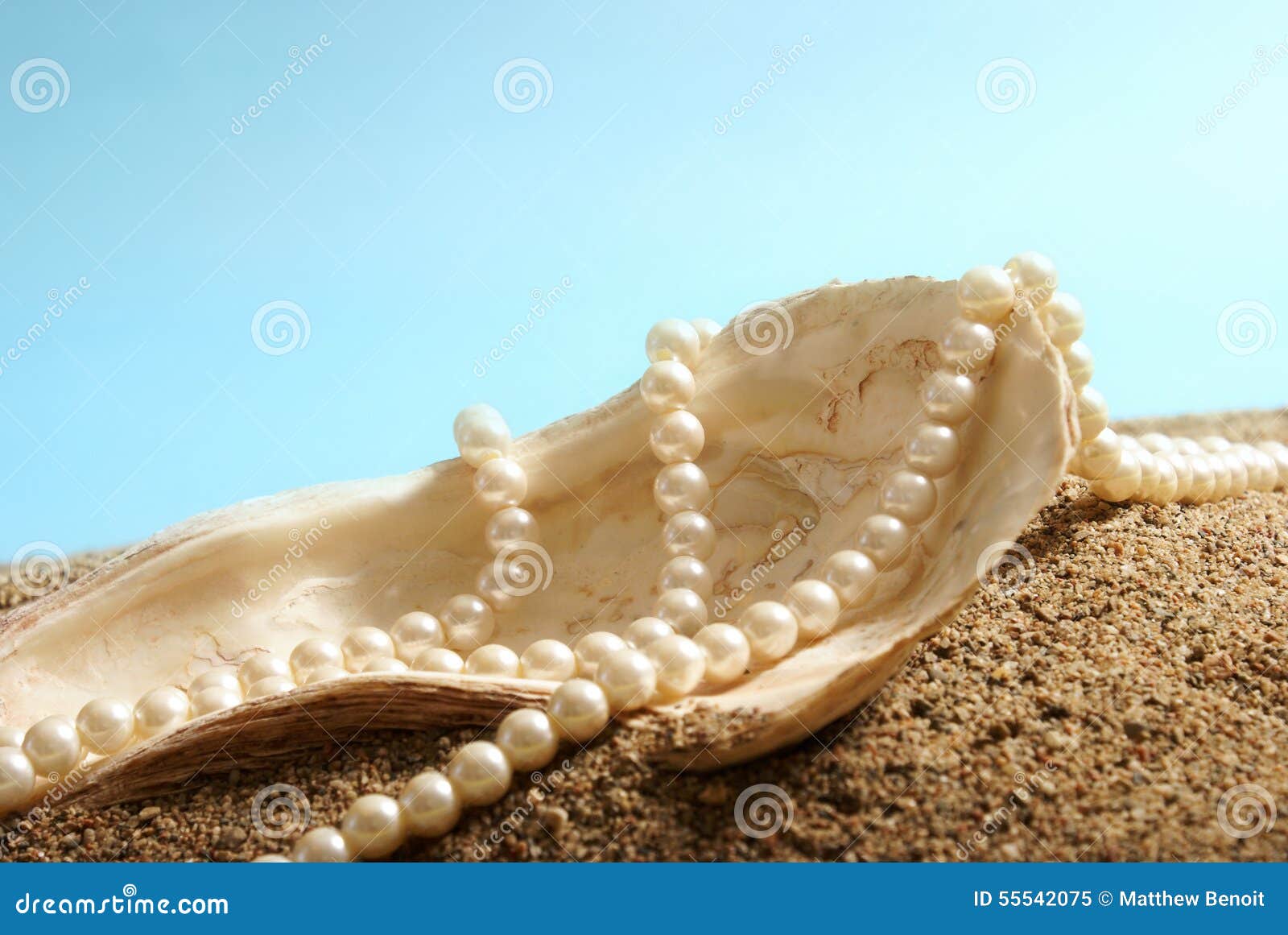 Perlas del océano imagen de archivo. Imagen de gema, aguja - 55542075