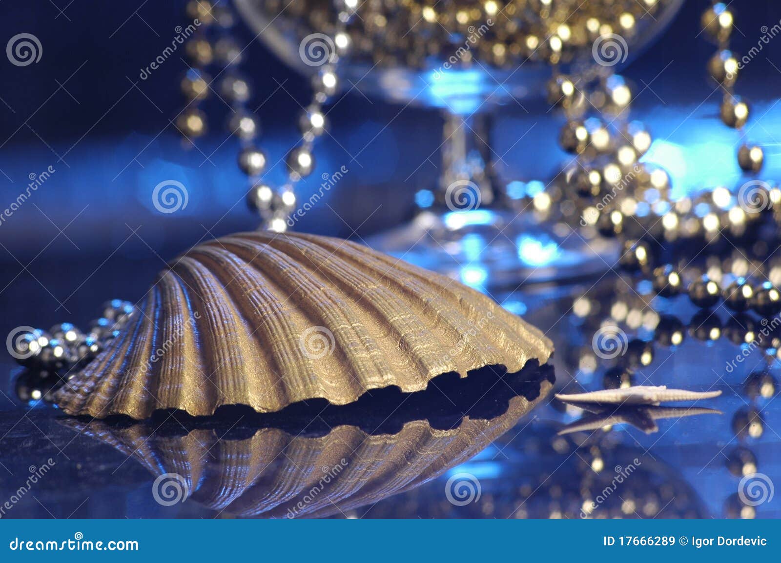 Perlas y el shell imagen de archivo. Imagen de completo - 17666289