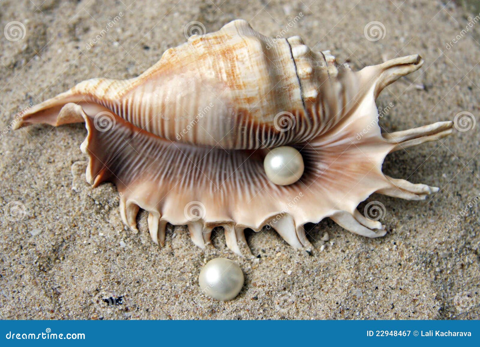 Perlas y shell imagen de archivo. Imagen de arena, playa - 22948467