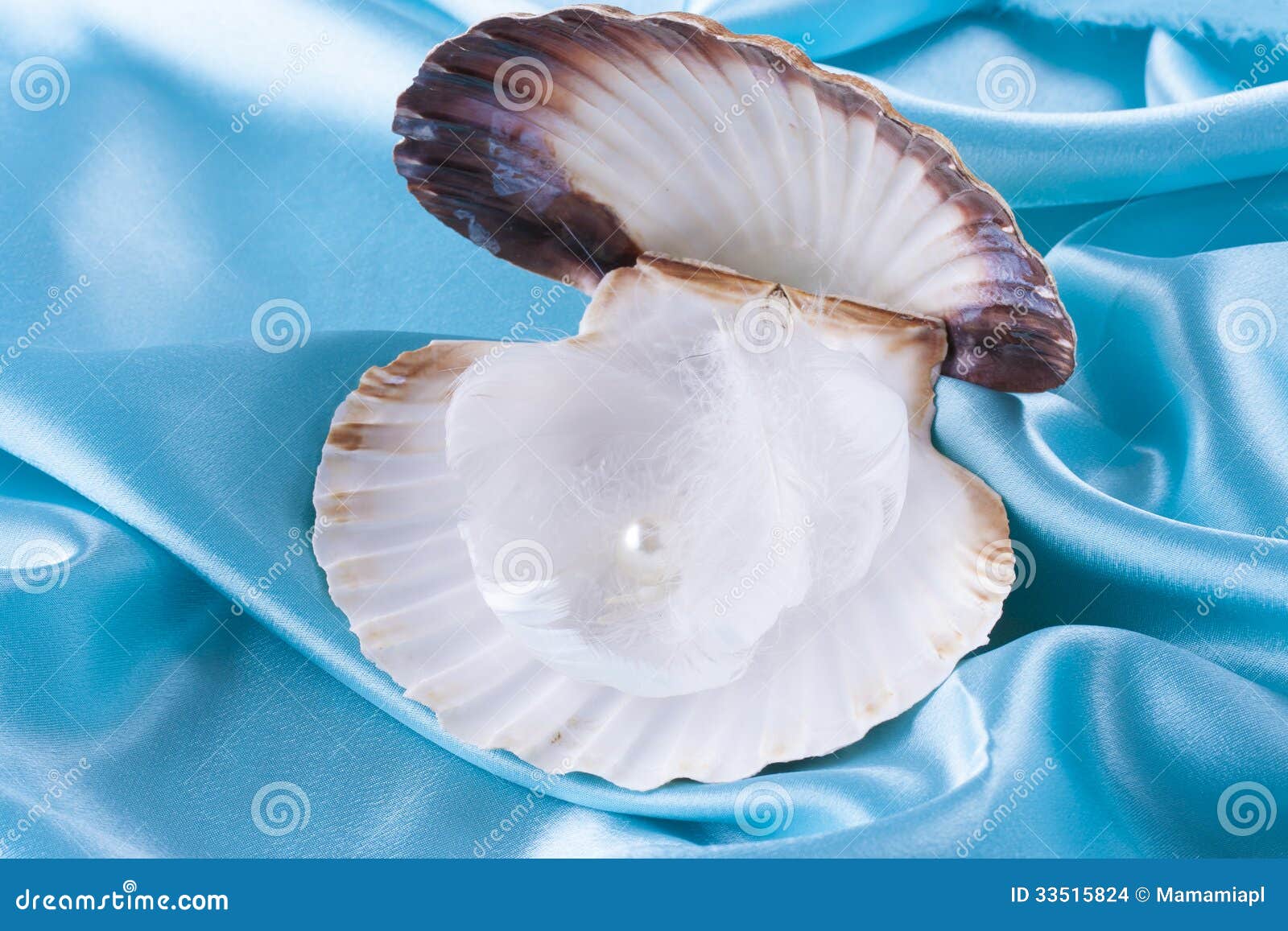 Perle stockfoto. Bild von makro, schale, nahaufnahme - 33515824