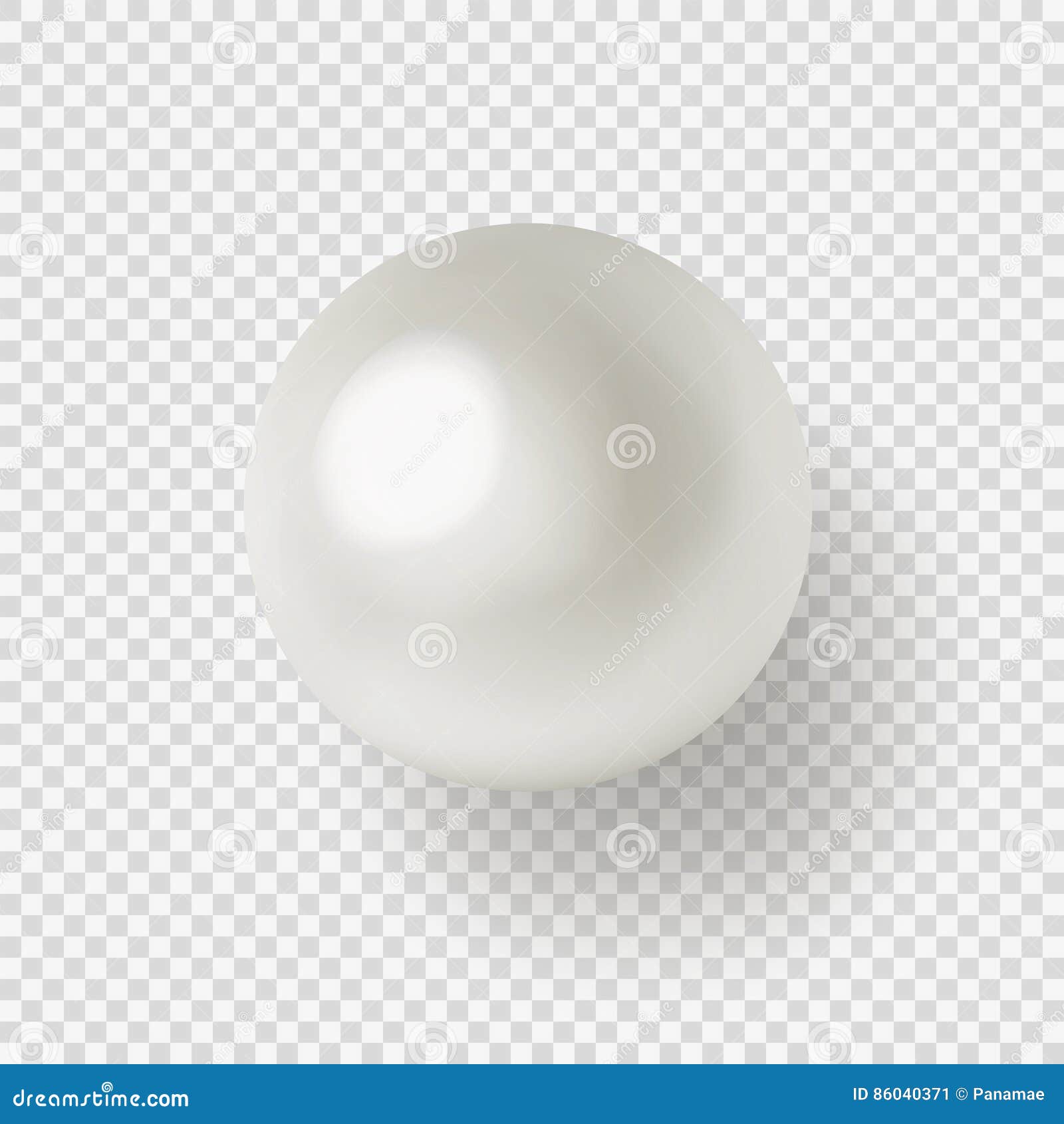 Perle Auf Transparentem Hintergrund Vektor Abbildung - Illustration von ...