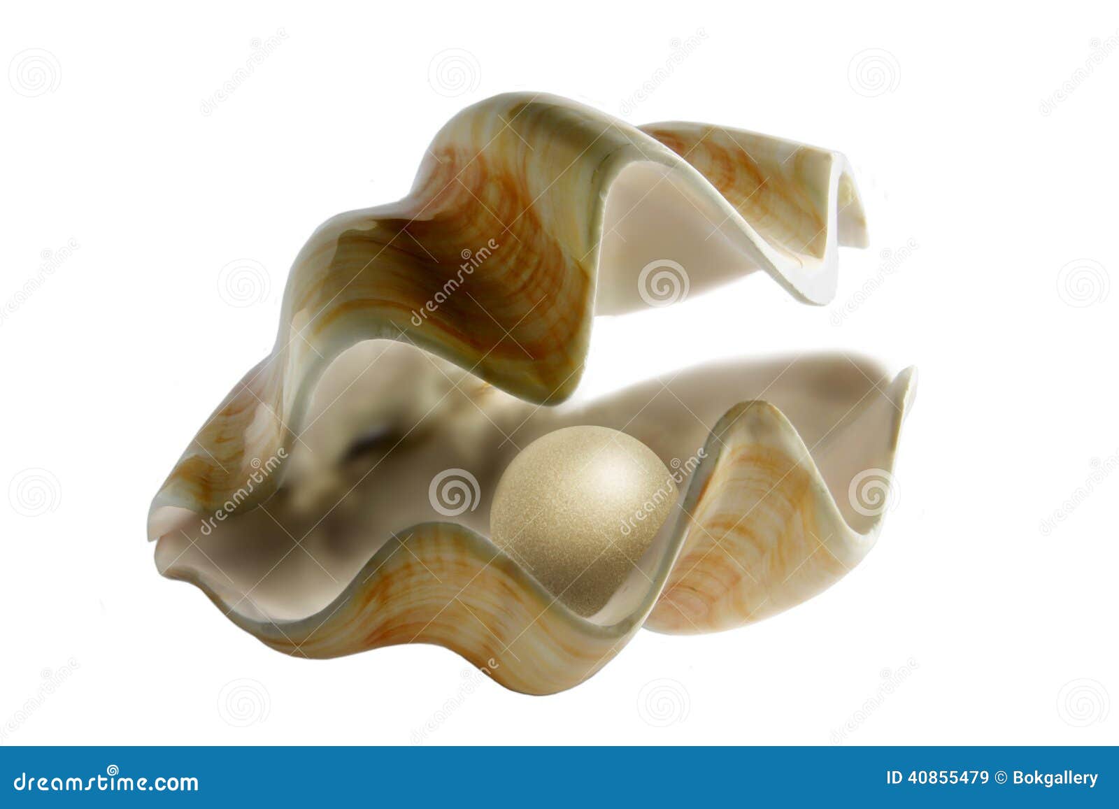 Perle in der Muschel stockbild. Bild von hinaufklettern - 40855479