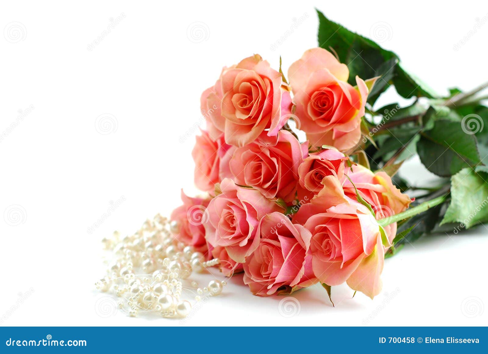 Perle Di Rosa Di Colore Rosa Fotografia Stock - Immagine di perla ...