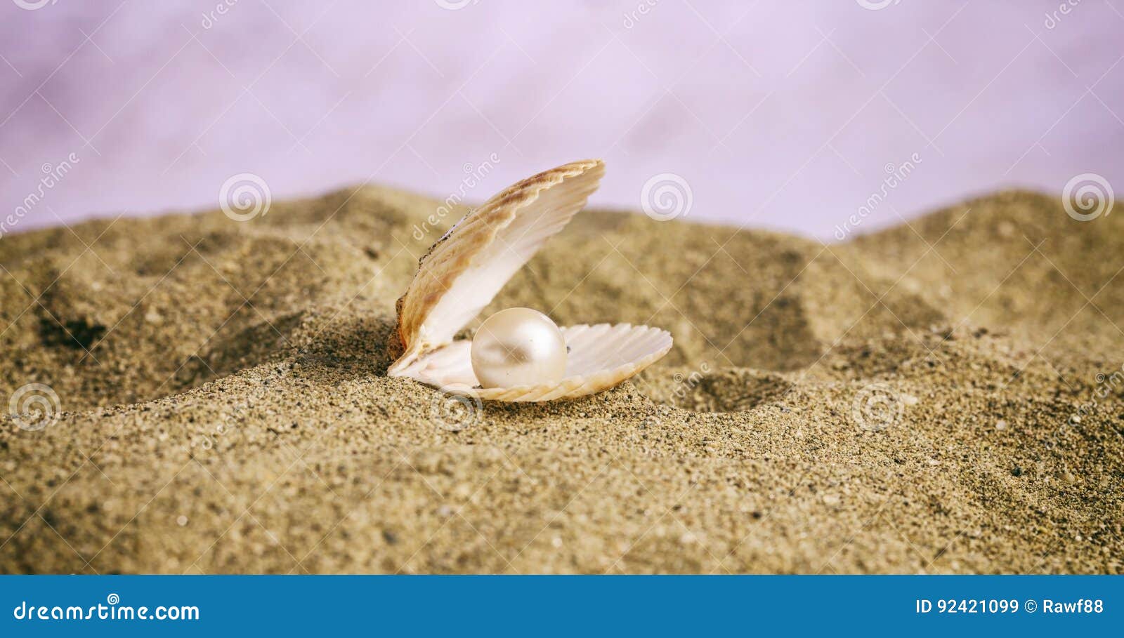 Perle in Einer Muschel Auf Dem Strand Stockbild - Bild von küste ...