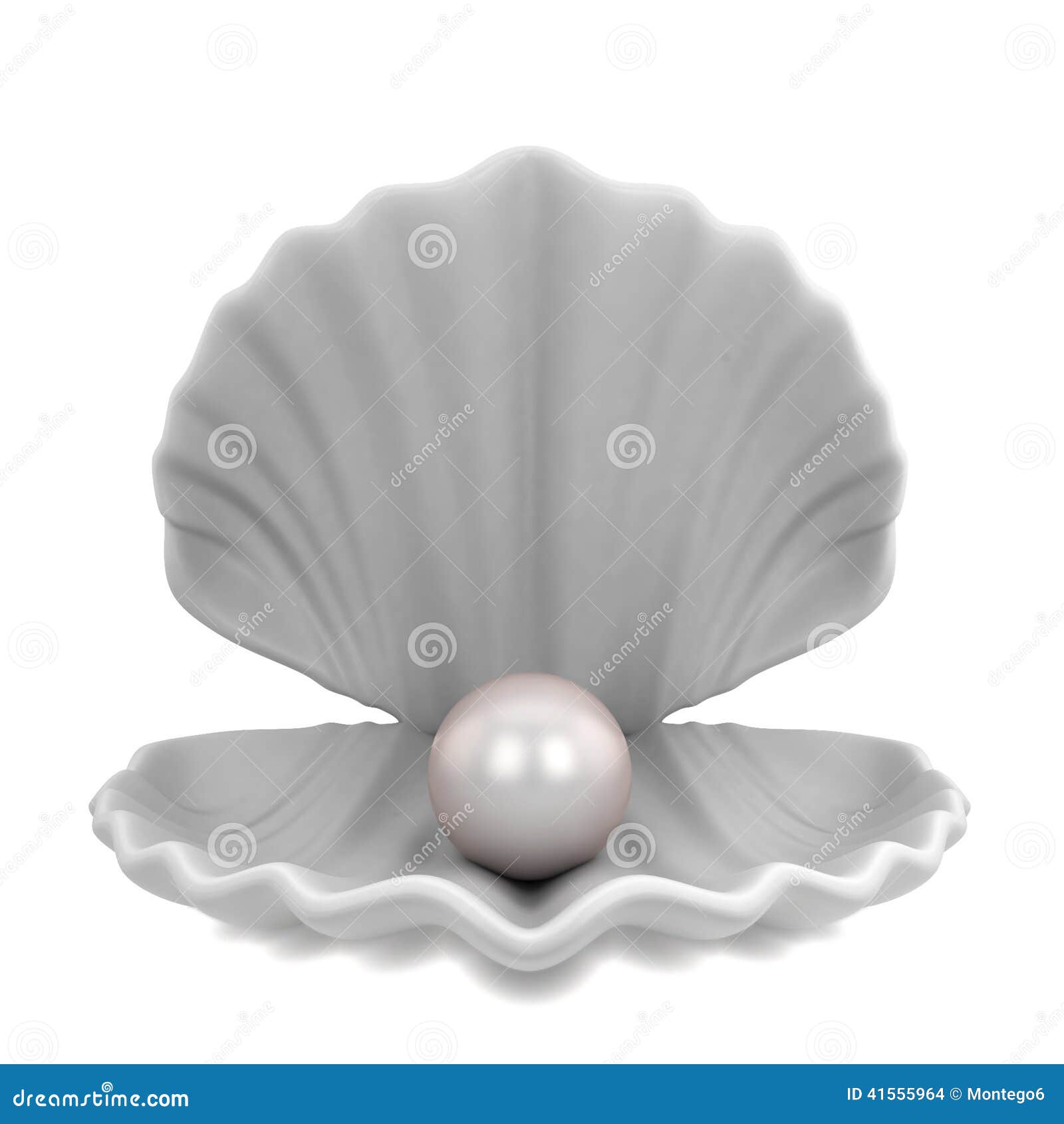 Perle Innerhalb Der Muschel Stock Abbildung - Illustration von traum ...