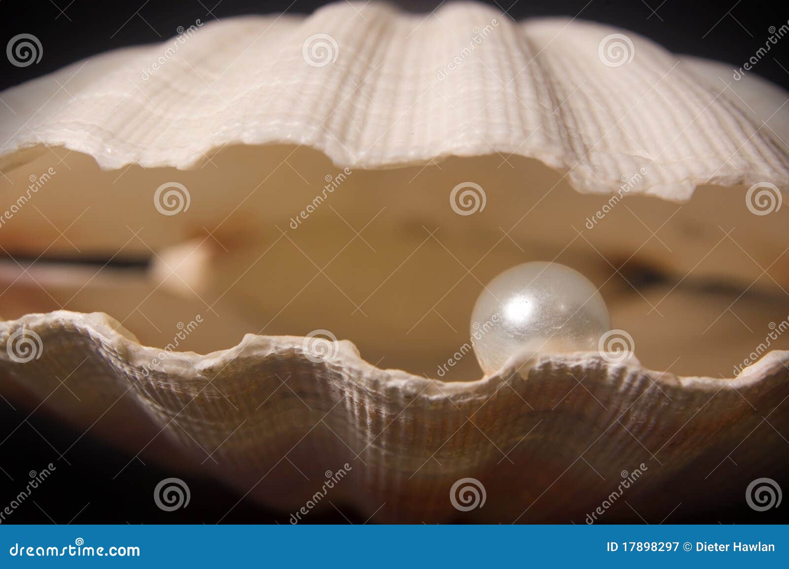 Perle nach innen stockbild. Bild von ideen, hintergrund - 17898297