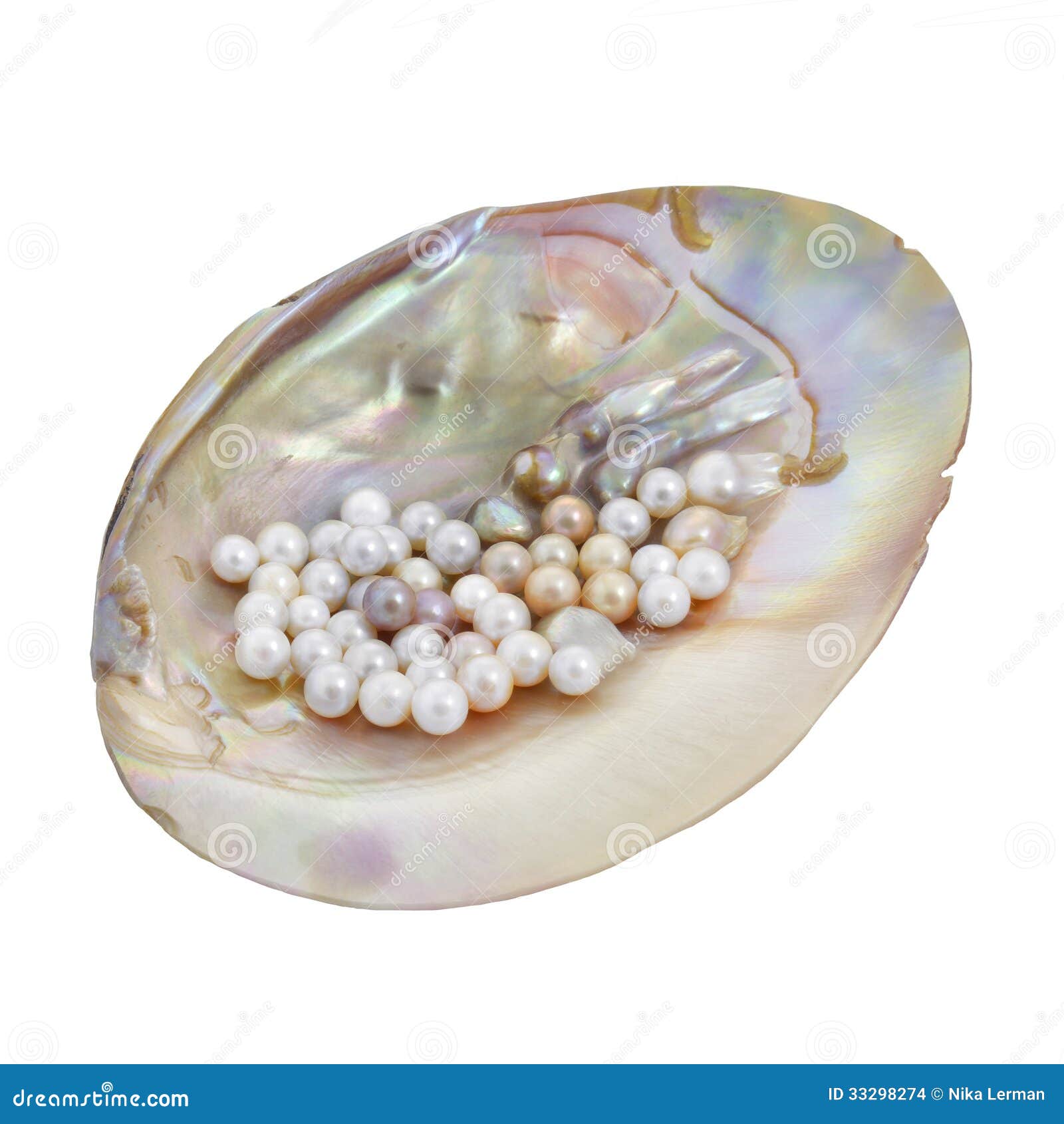 Perles dans la nacre photo stock. Image du perles, coque - 33298274
