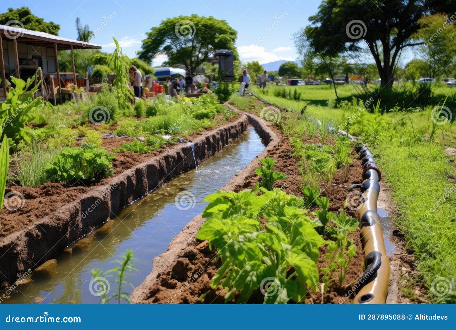 Permaculture Swale System for Water Conservation Stock Illustration ...
