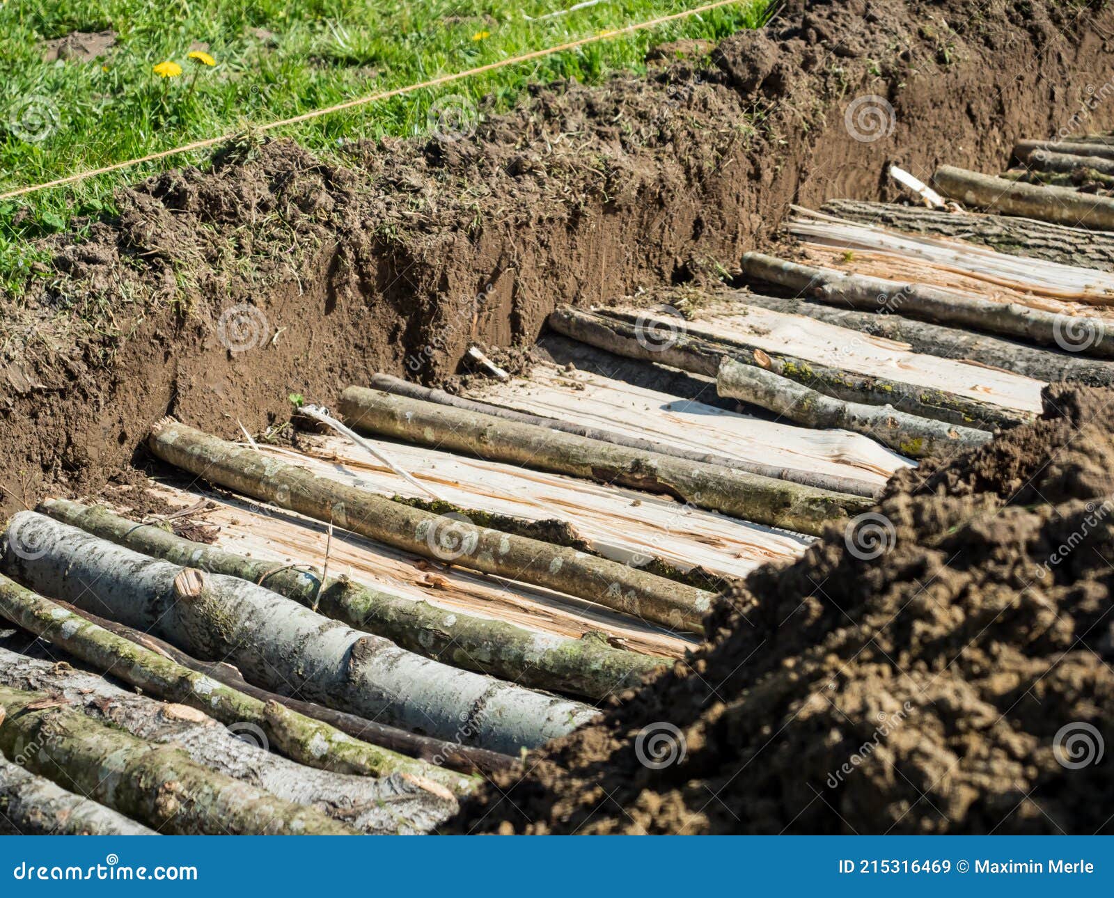 Permaculture Trench Side View Of Half Long Logs Of Wood With Grass ...