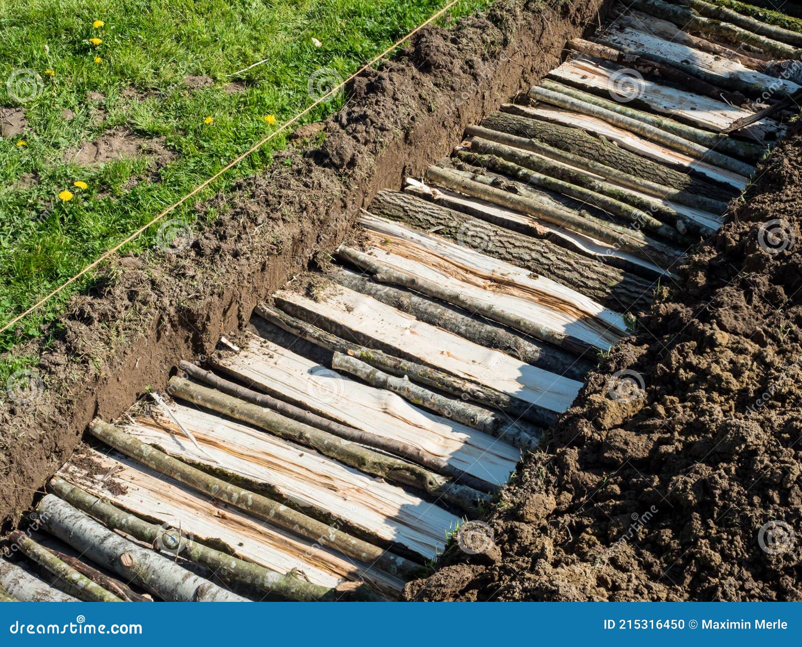 Permaculture Trench Side View Of Half Long Logs Of Wood With Grass ...