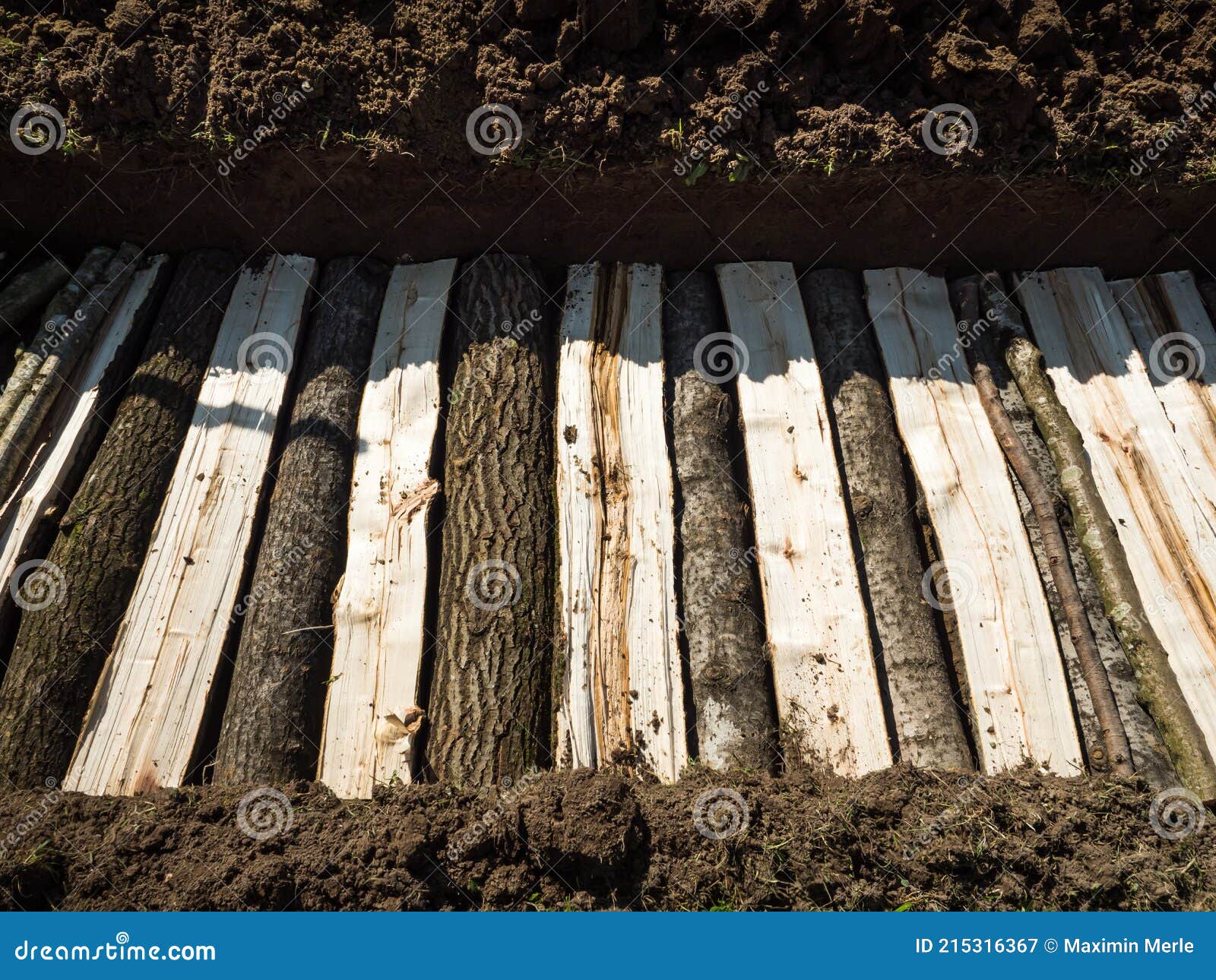 Permaculture Trench Side View of Half Long Logs of Wood Stock Image ...
