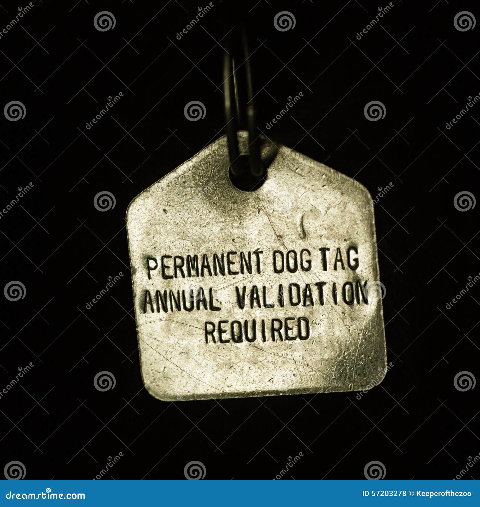 Permanent Dog Tag stock photo. Image of isolated, validation - 57203278