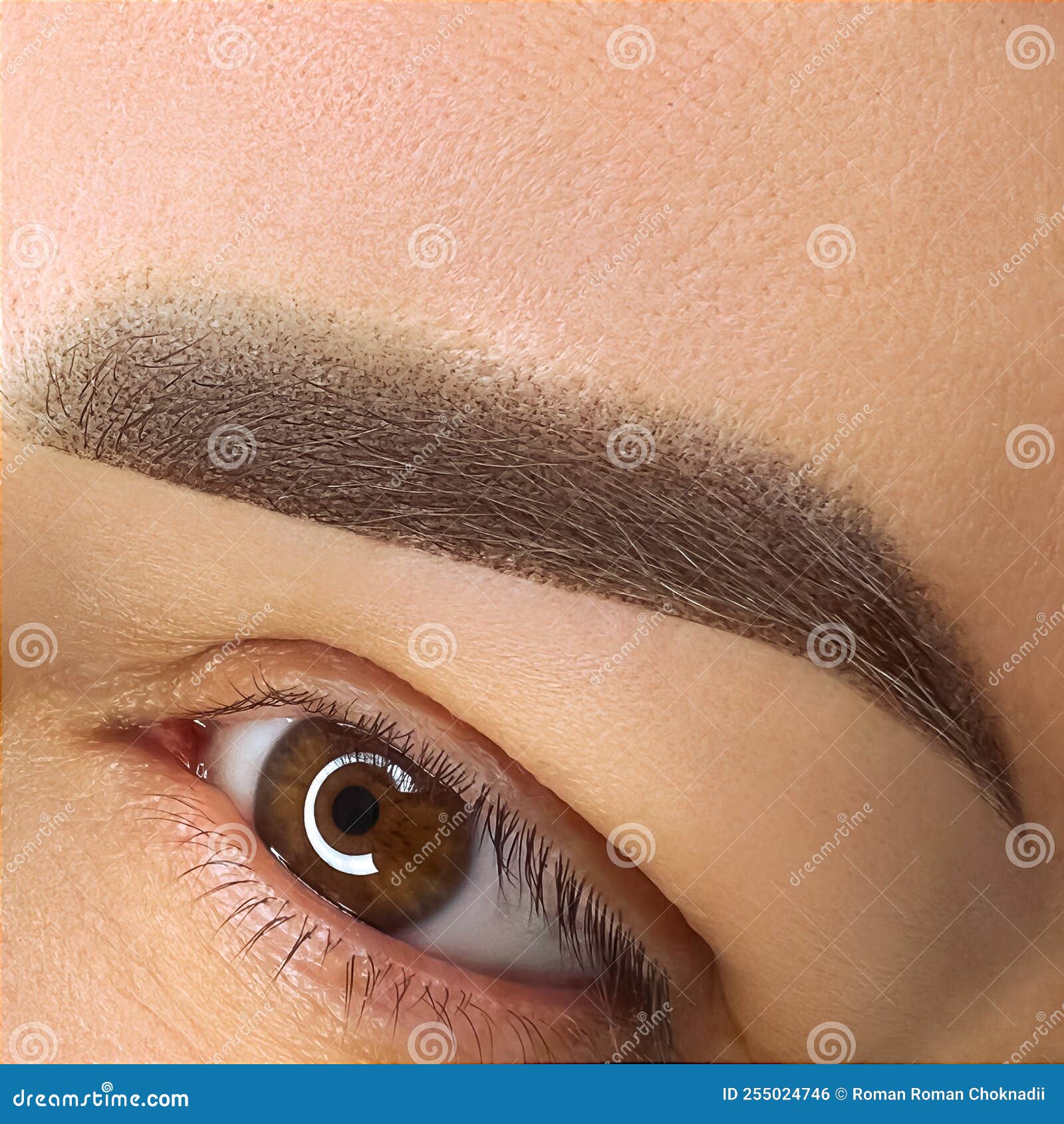 Permanent Eyebrow Makeup Close-up Eyebrow Tattoo Made in Powder ...