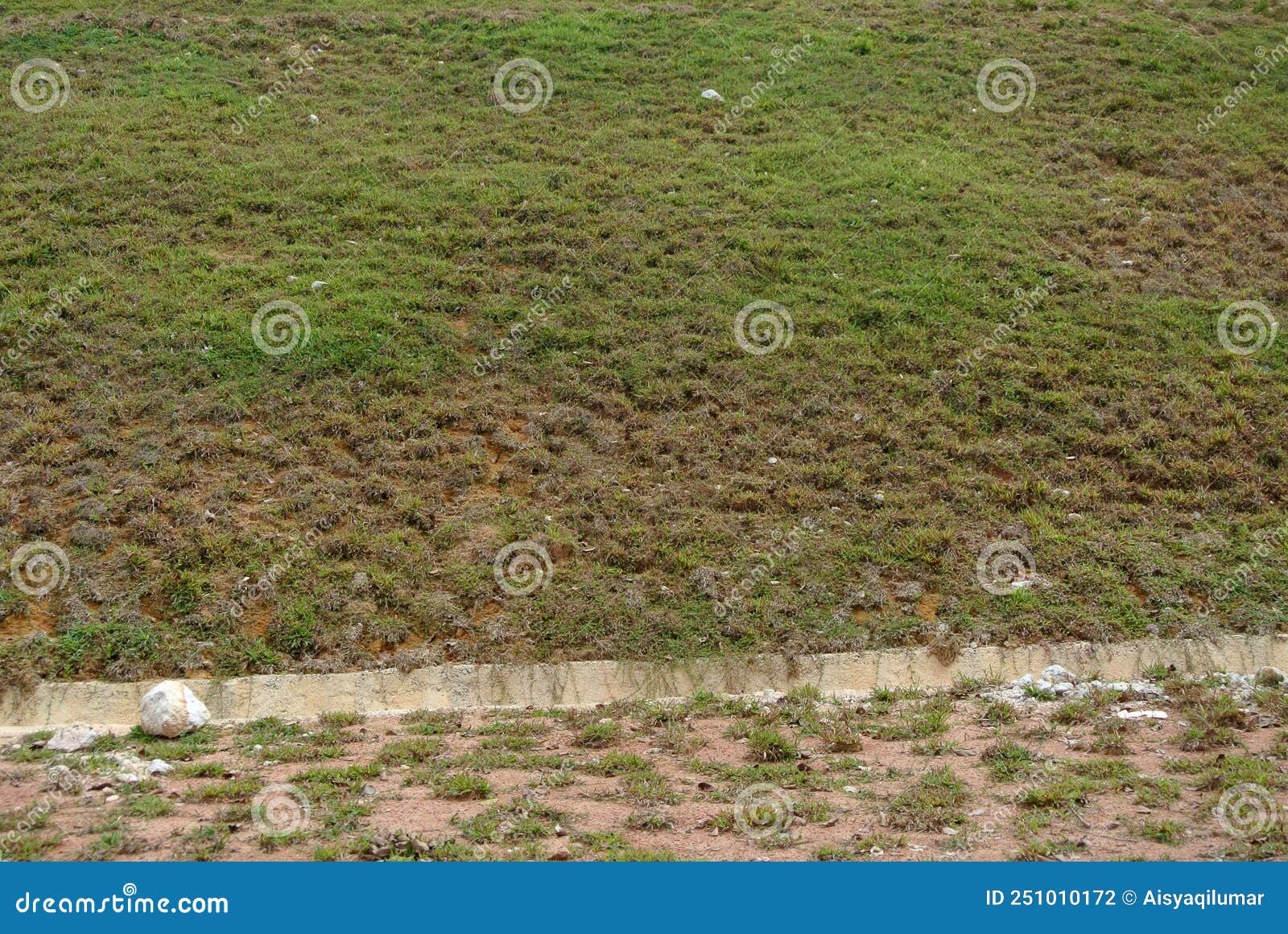 Permanent Slope Protection with Grass Using the Hydroseed Method. the ...