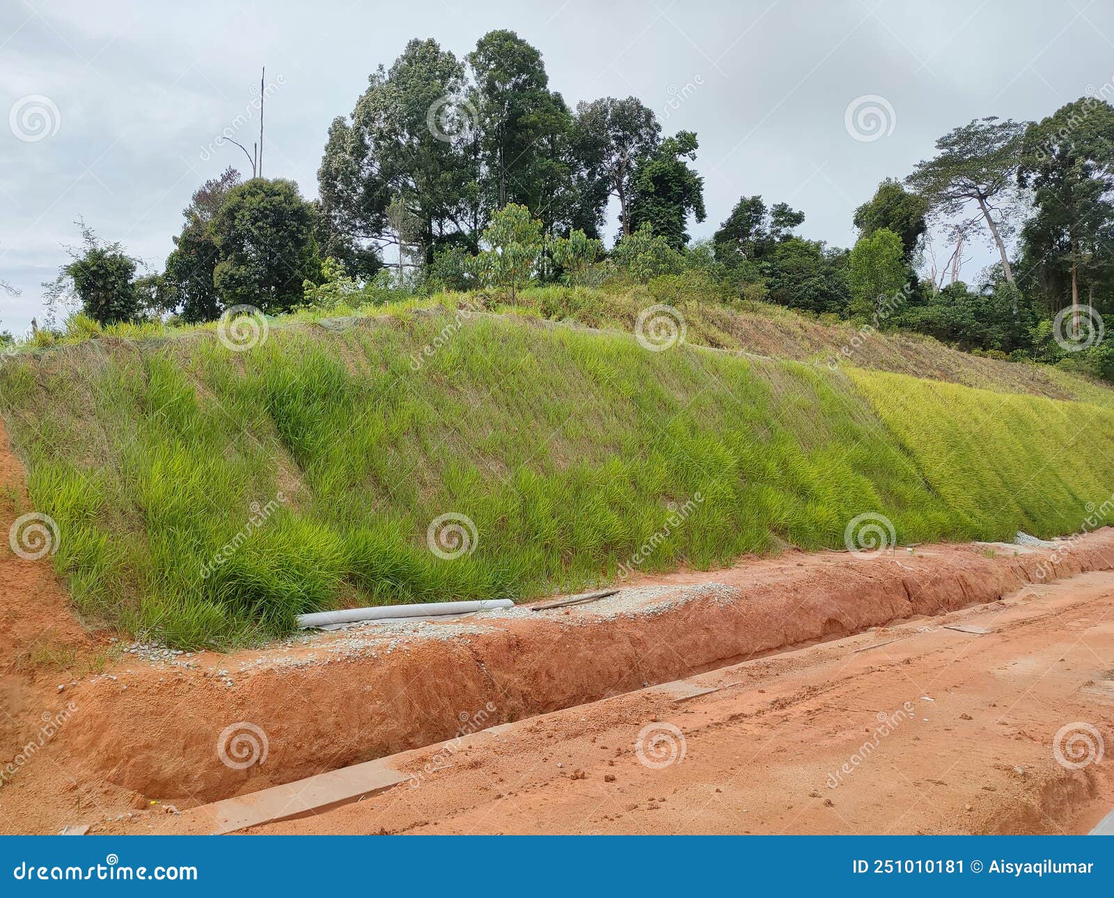Permanent Slope Protection with Grass Using the Hydroseed Method. the ...