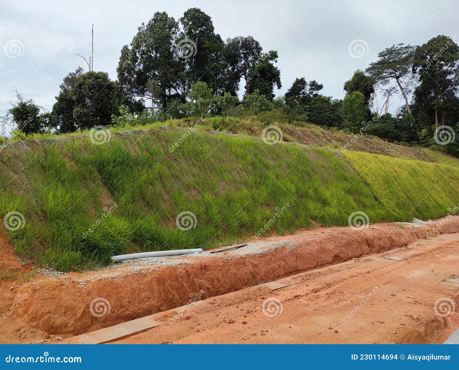 Permanent Slope Protection with Grass Using the Hydroseed Method. Stock ...