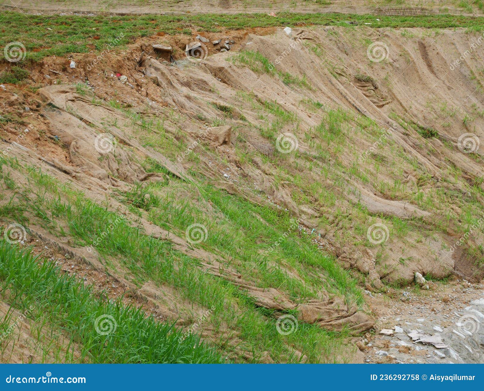 Permanent Slope Protection with Grass Using the Hydroseed Method. Stock ...