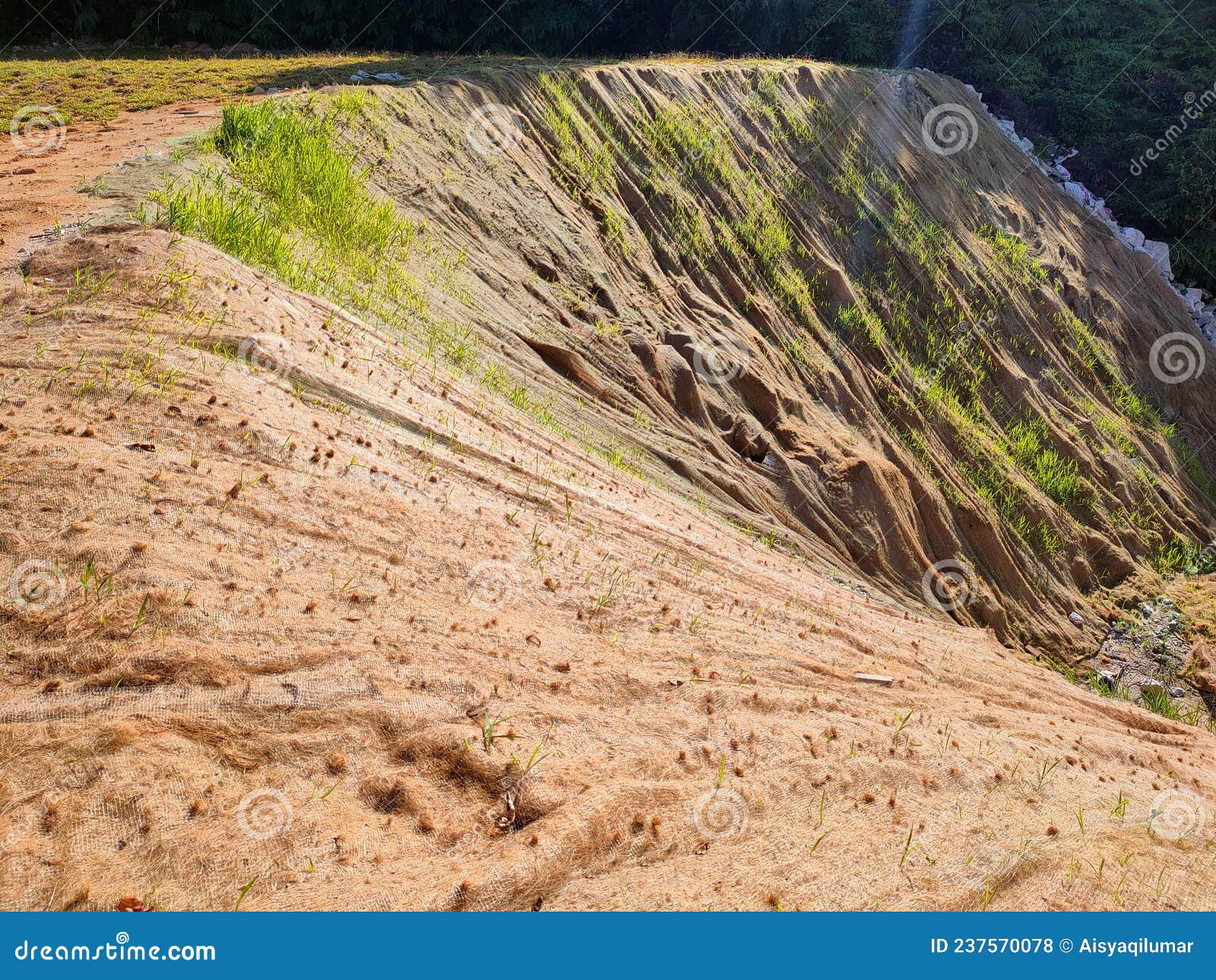 Permanent Slope Protection with Grass Using the Hydroseed Method. Stock ...