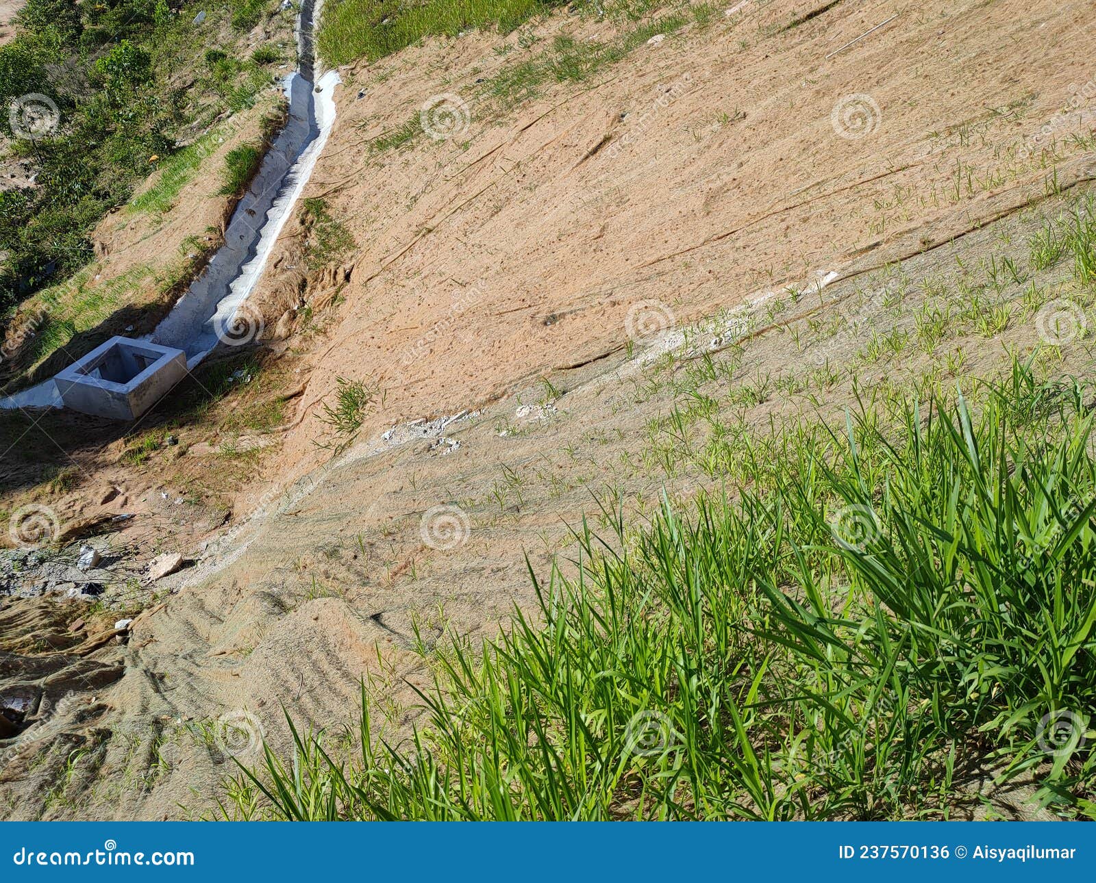 Permanent Slope Protection with Grass Using the Hydroseed Method. Stock ...