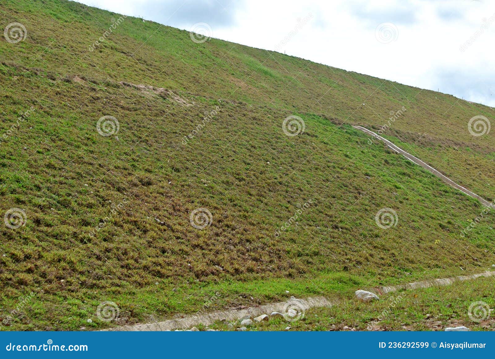 Permanent Slope Protection with Grass Using the Hydroseed Method. Stock ...