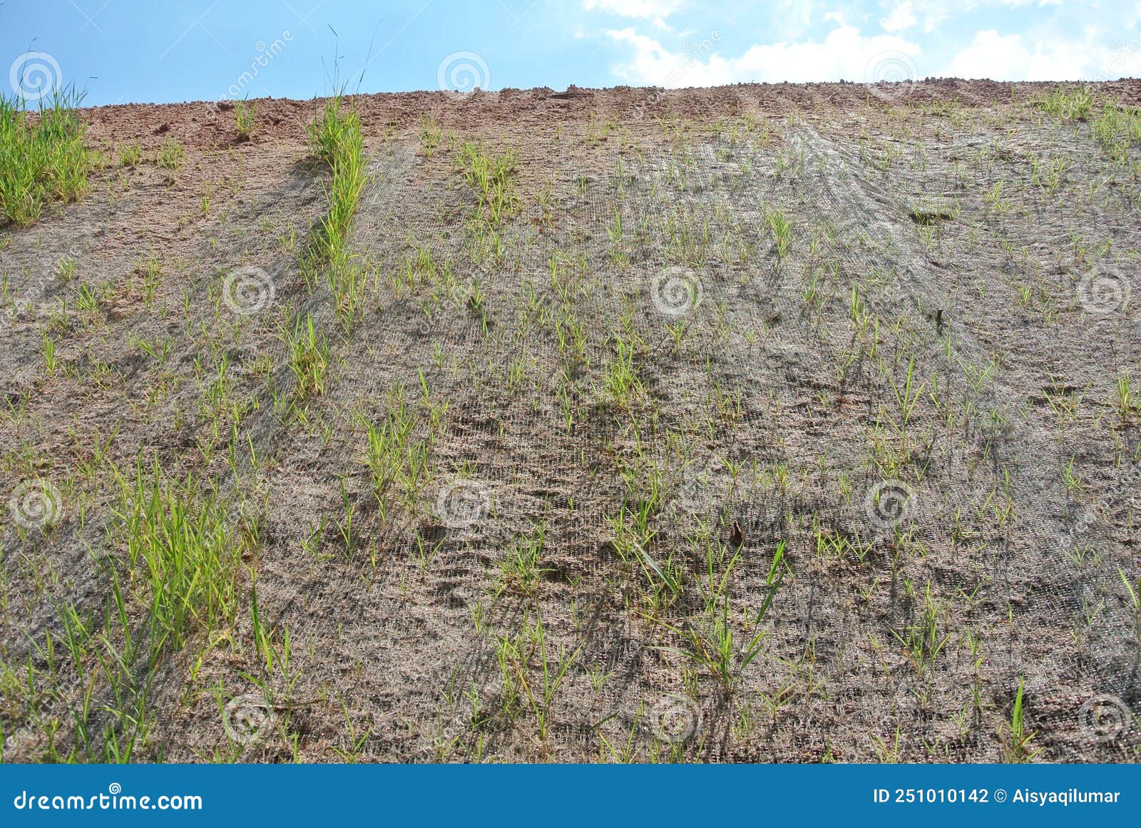 Permanent Slope Protection with Grass Using the Hydroseed Method. the ...
