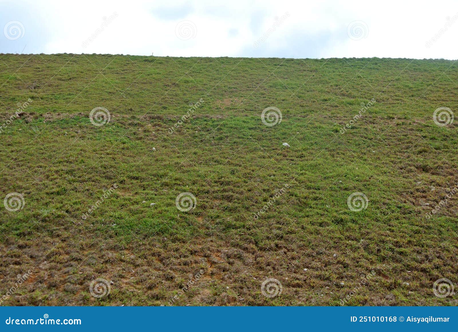 Permanent Slope Protection with Grass Using the Hydroseed Method. the ...