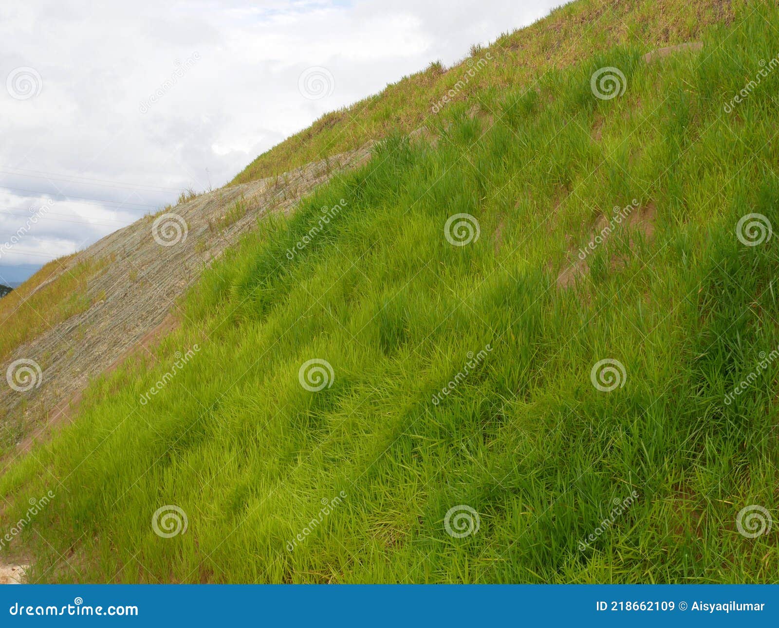 Permanent Slope Protection with the Natural Grass Using the Hydroseed ...
