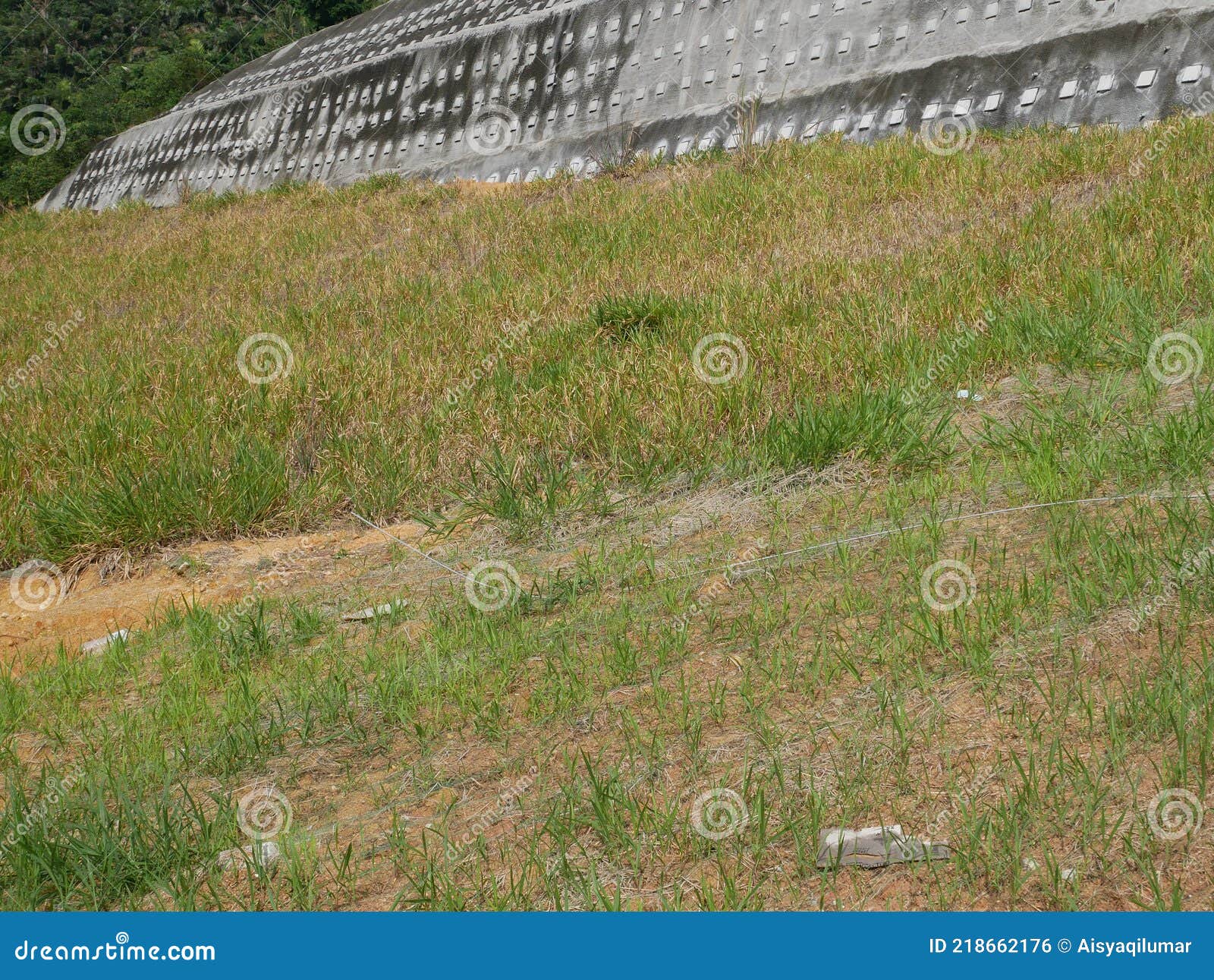Permanent Slope Protection with the Natural Grass Using the Hydroseed ...