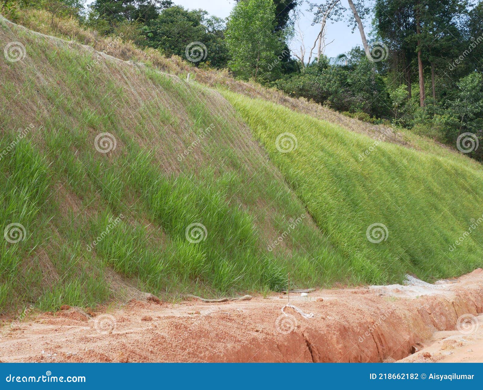 Permanent Slope Protection with the Natural Grass Using the Hydroseed ...