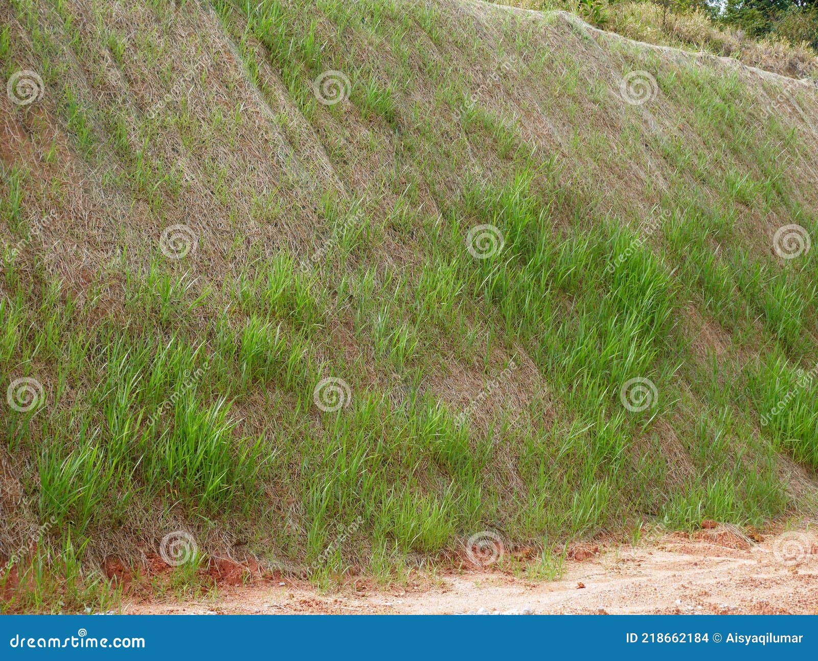 Permanent Slope Protection with the Natural Grass Using the Hydroseed ...