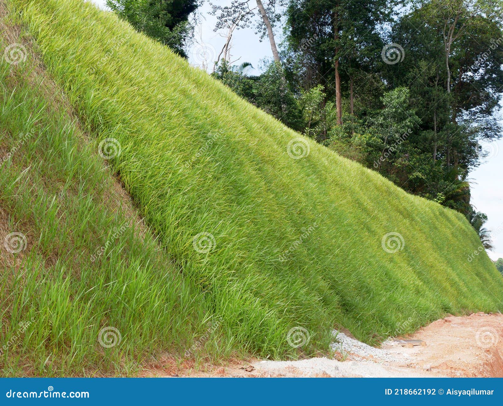 Permanent Slope Protection With The Natural Grass Using The Hydroseed ...