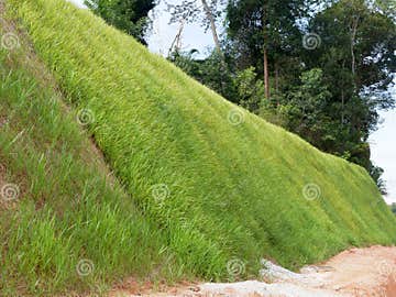 Permanent Slope Protection with the Natural Grass Using the Hydroseed ...