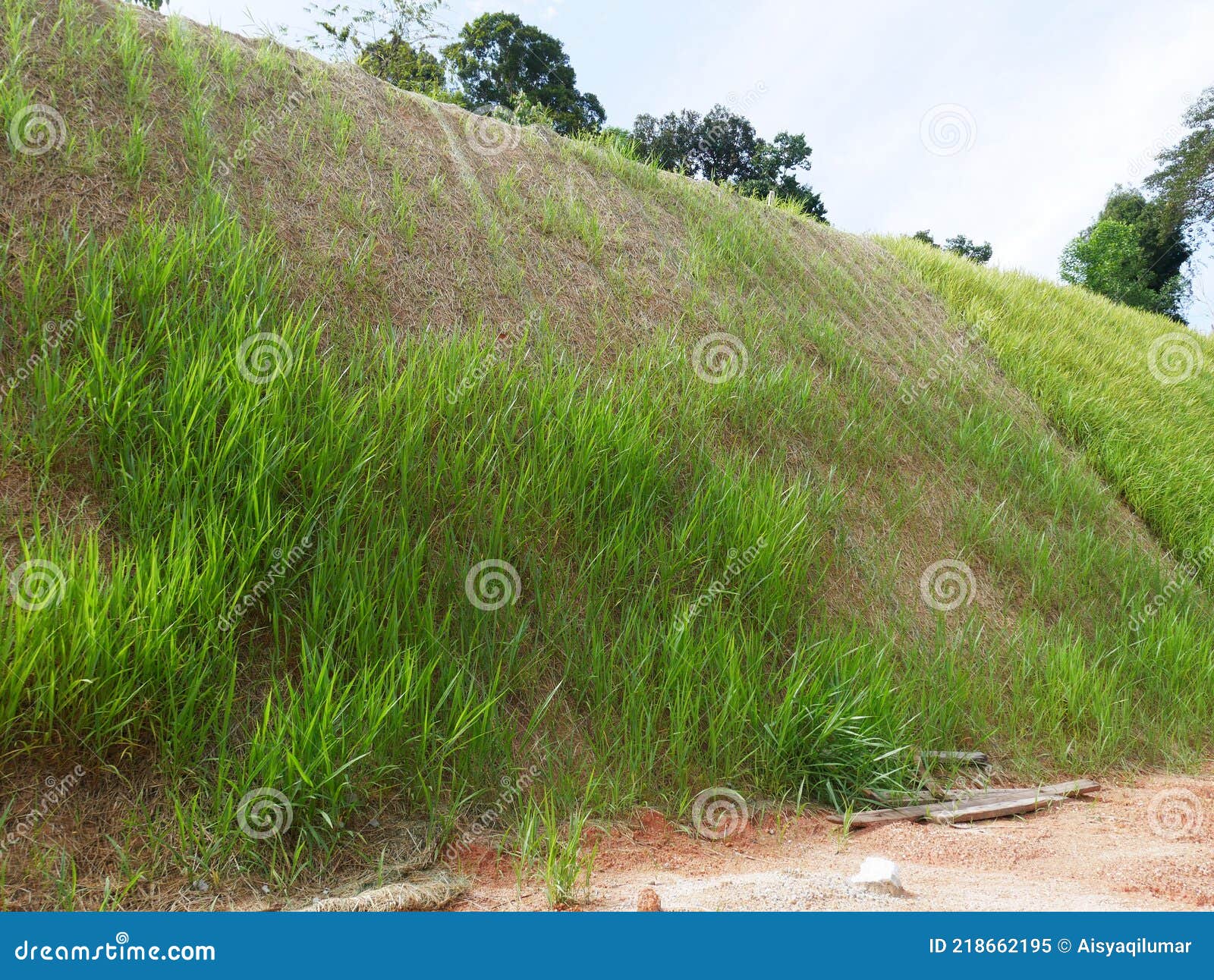 Permanent Slope Protection with the Natural Grass Using the Hydroseed ...