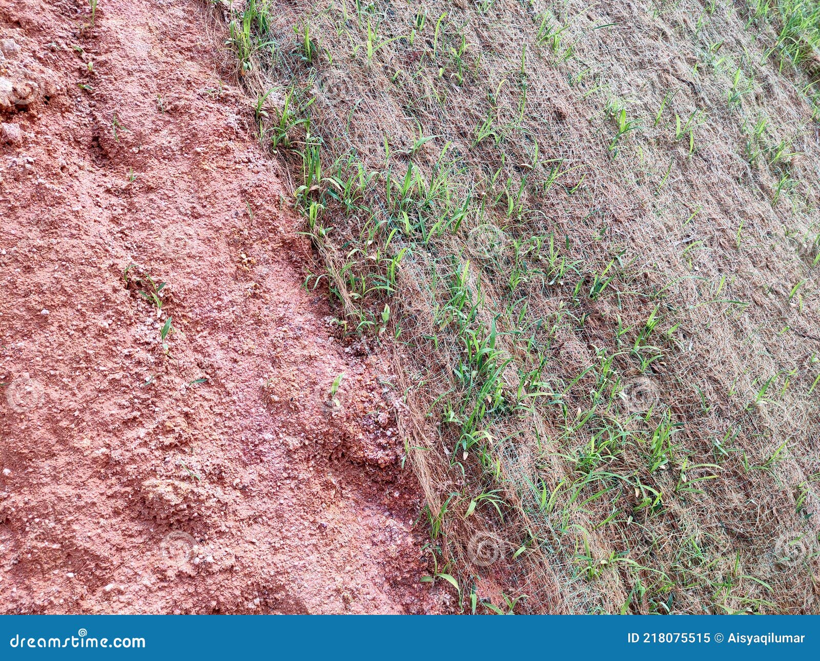 Permanent Slope Protection Using the Close Turfing Method To Prevent ...