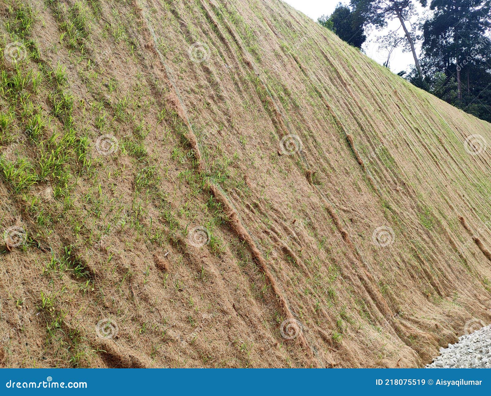 Permanent Slope Protection Using the Close Turfing Method To Prevent ...