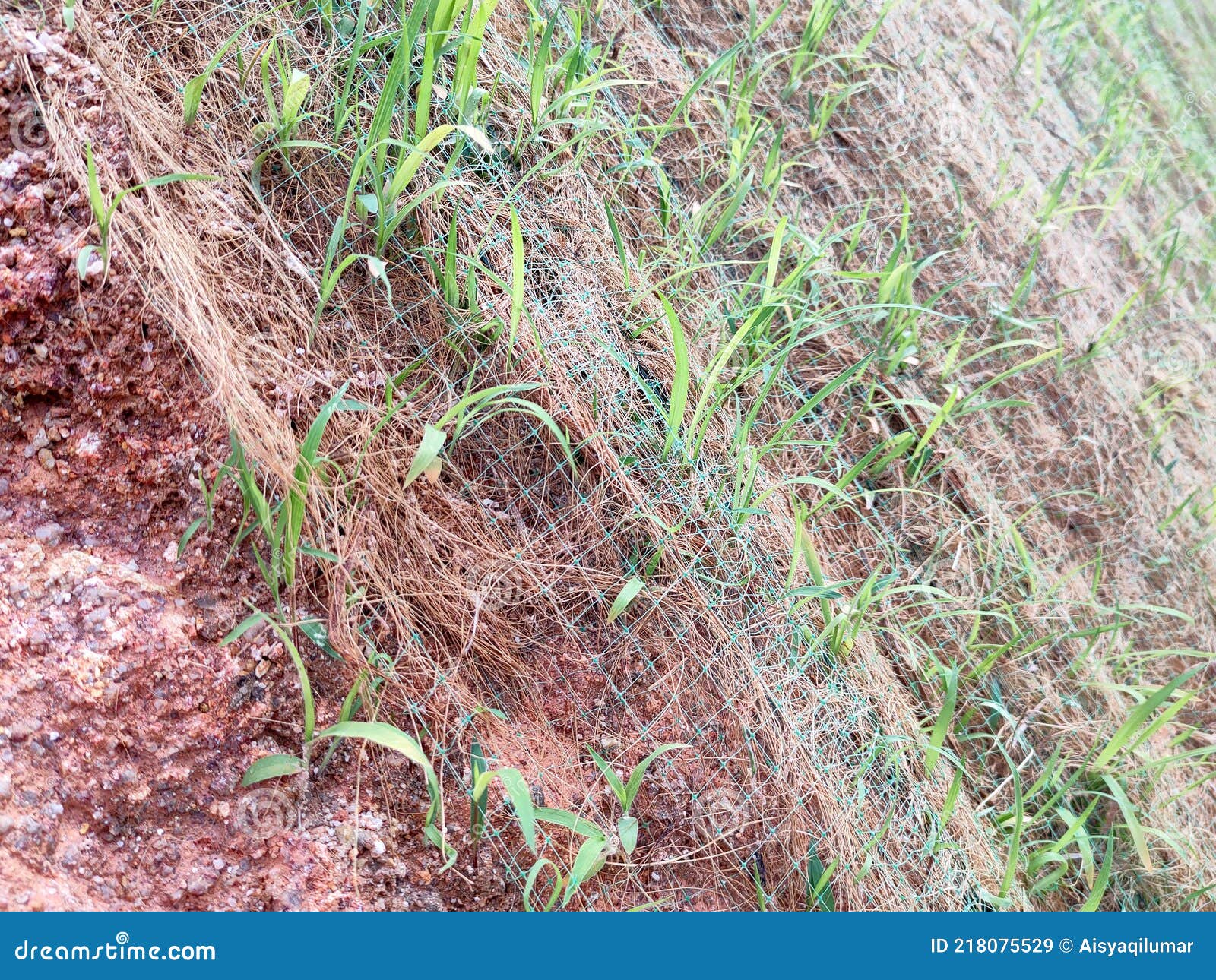 Permanent Slope Protection Using the Close Turfing Method To Prevent ...