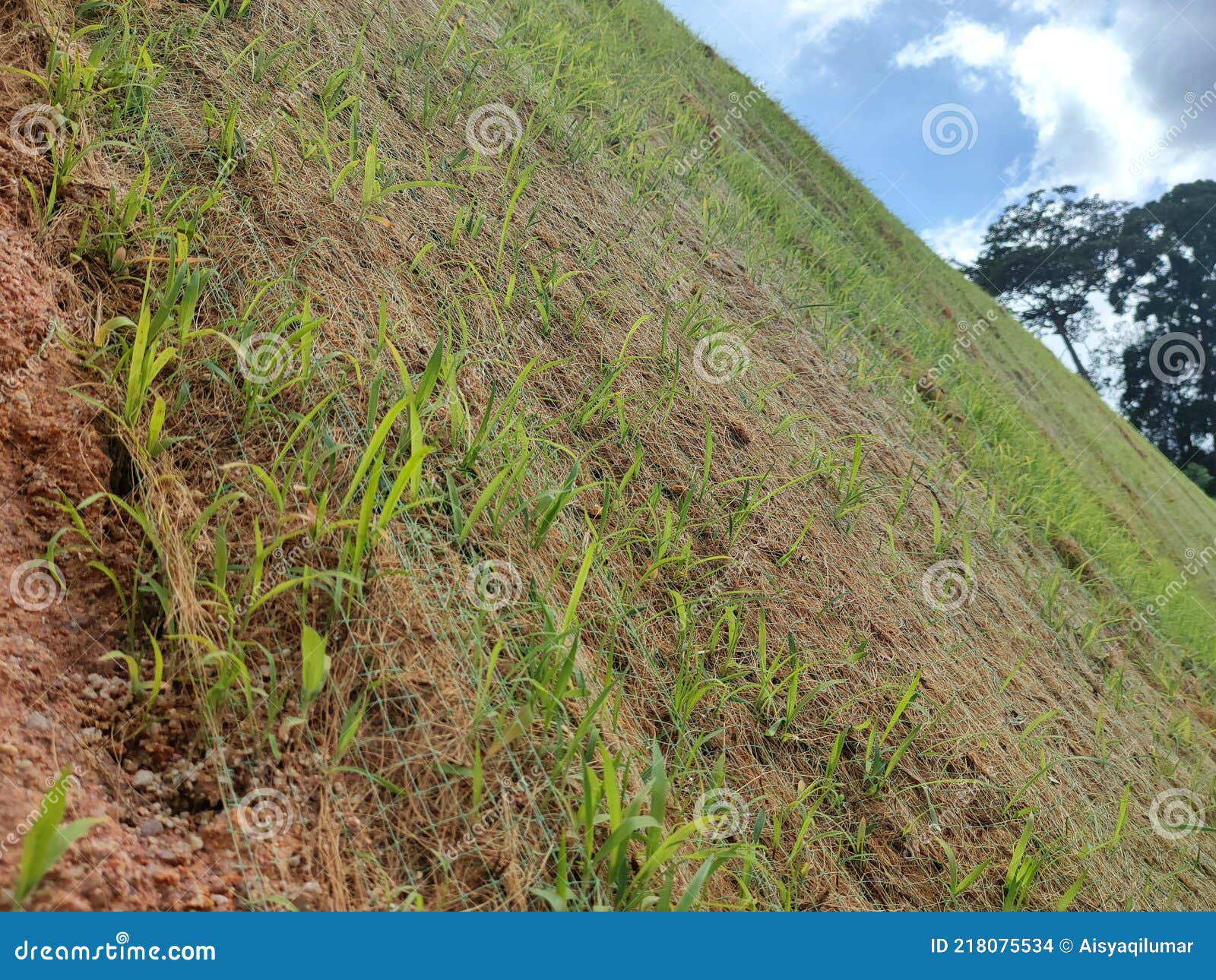 Permanent Slope Protection Using the Close Turfing Method To Prevent ...