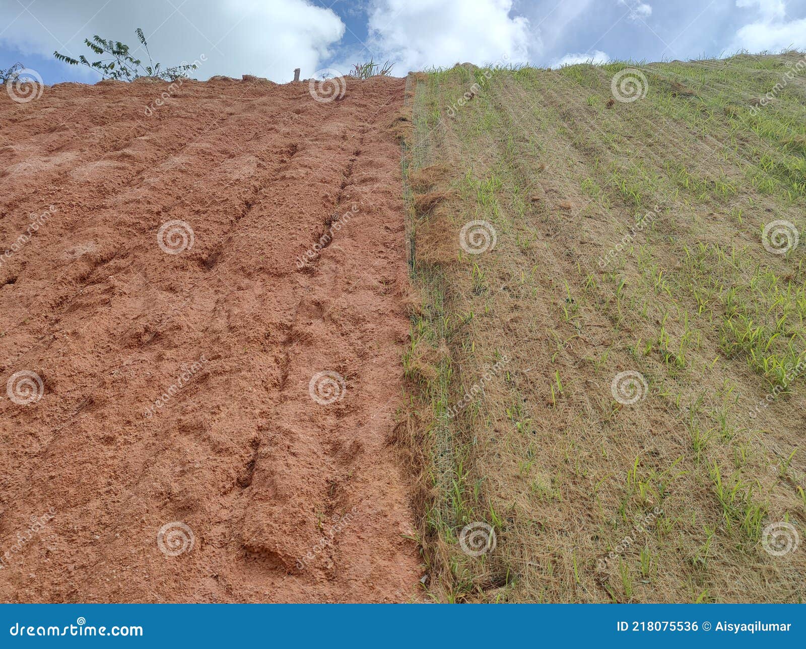 Permanent Slope Protection Using the Close Turfing Method To Prevent ...