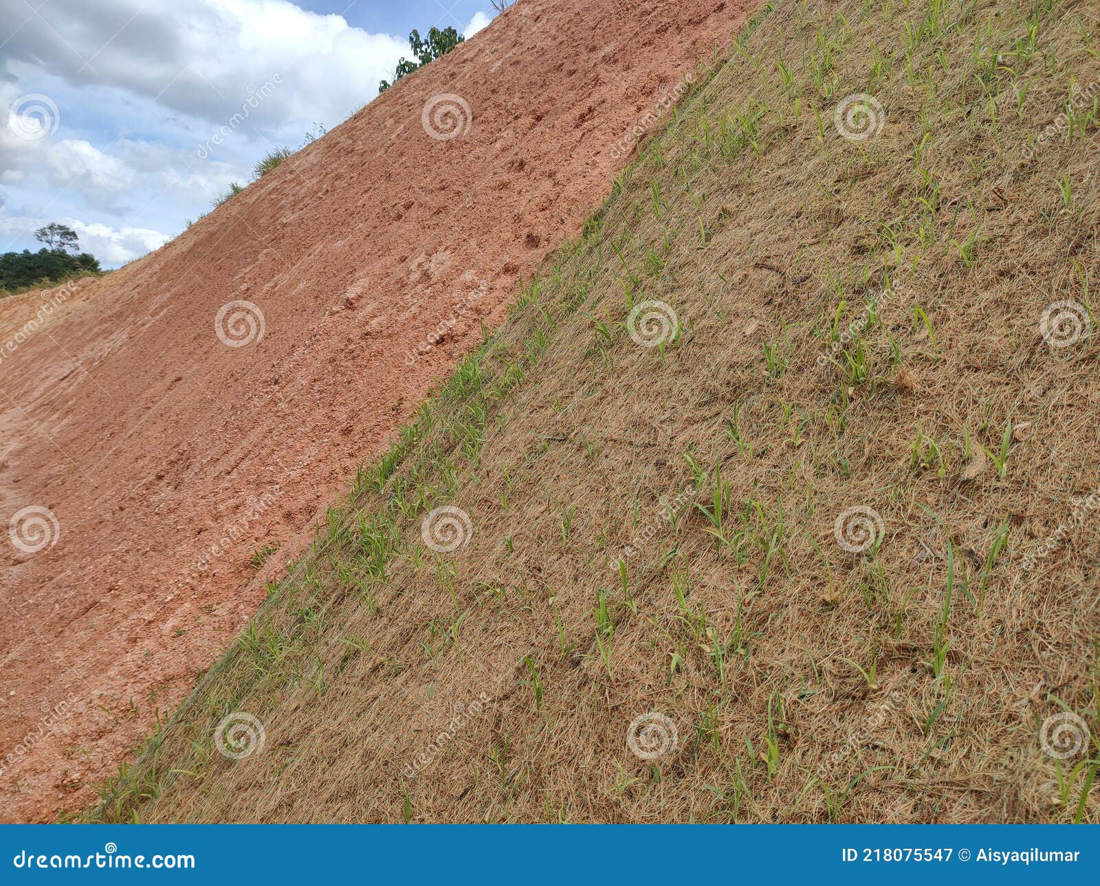 Permanent Slope Protection Using the Close Turfing Method To Prevent ...