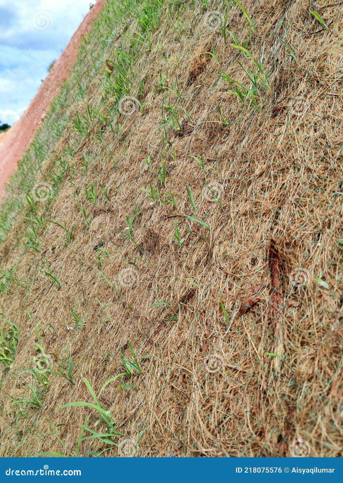 Permanent Slope Protection Using the Close Turfing Method To Prevent ...