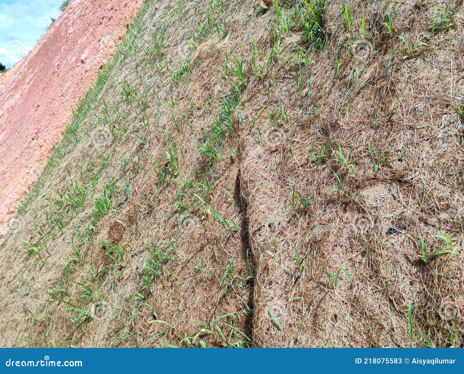 Permanent Slope Protection Using The Close Turfing Method To Prevent ...