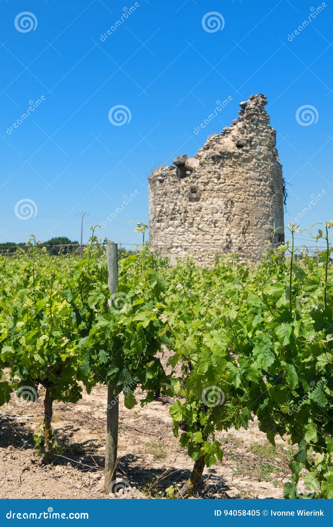 Permanezca De Una Torre En Yarda De La Vid Imagen de archivo - Imagen ...
