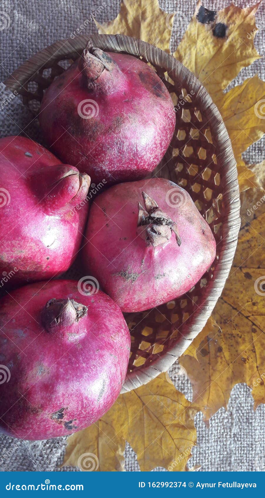 Permanganate stock photo. Image of permanganate, leaf - 162992374