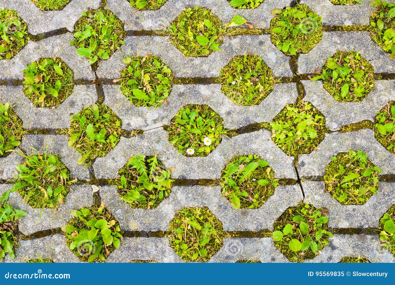Permeable Pavers Stock Image | CartoonDealer.com #23352175