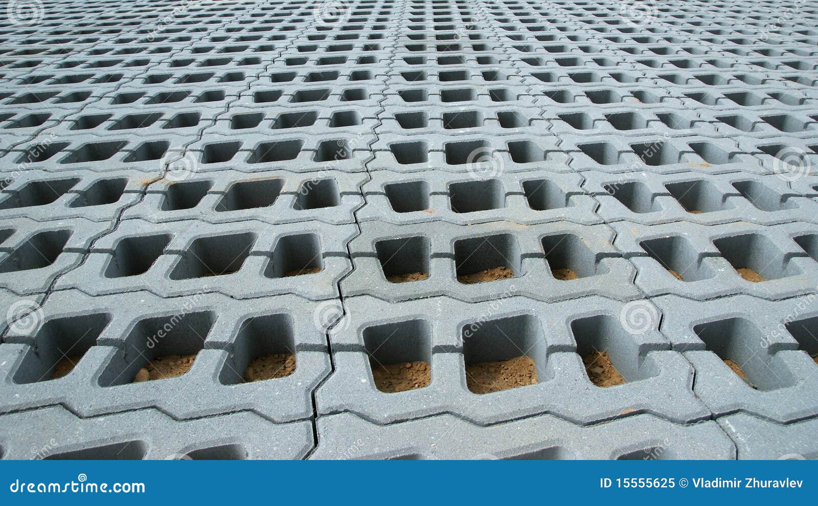 Permeable Pavers (Lawn Grid) Stock Image - Image of lawn, land: 15555625