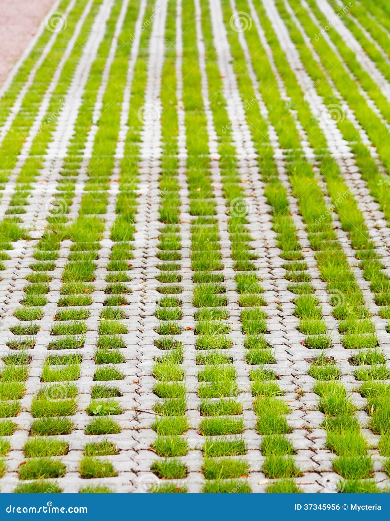 Permeable Pavers stock photo. Image of pavement, cobblestone - 37345956